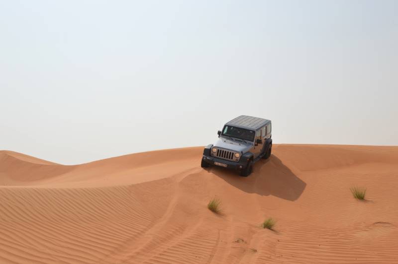 THE PERFECT | Off-Road Zone